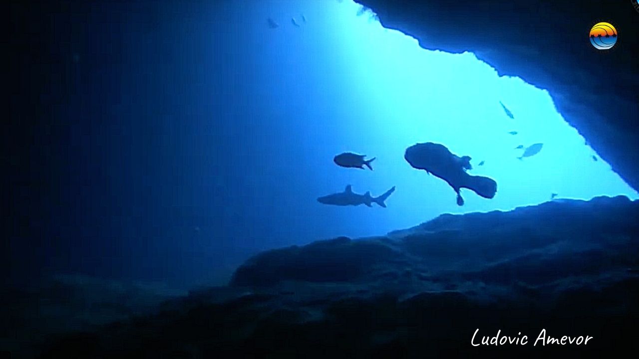 Buceo Bali con Southern Dreams Diving Club. El Mejor Buceo Bali