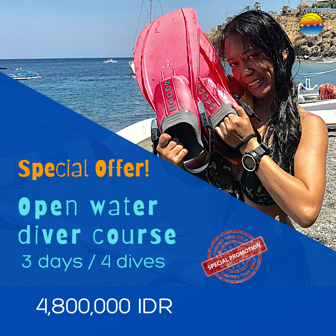 Inmersiones en Bali. Disfruta del mejor buceo con Southern Dreams Diving