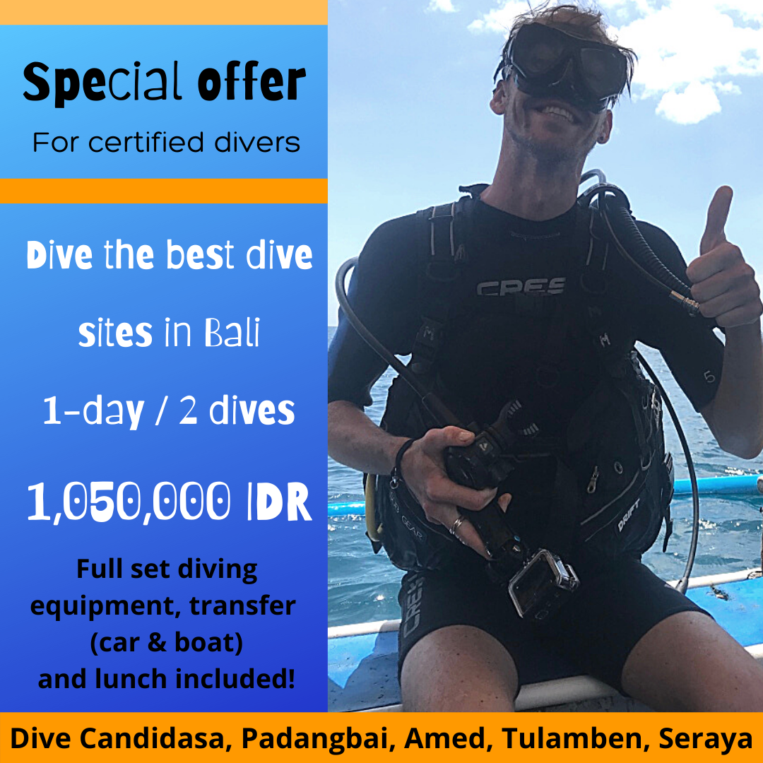 Inmersiones en Bali. Disfruta del mejor buceo con Southern Dreams Diving