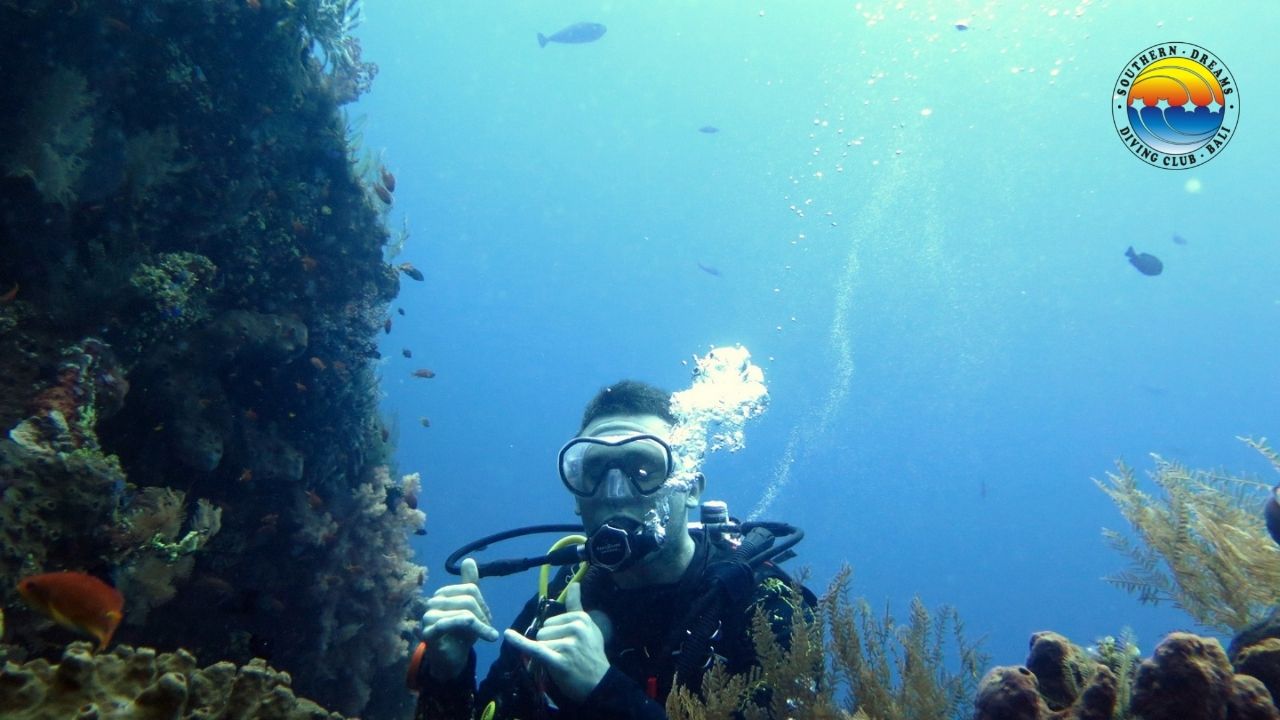 Buceo Bali con Southern Dreams Diving Club. El Mejor Buceo Bali